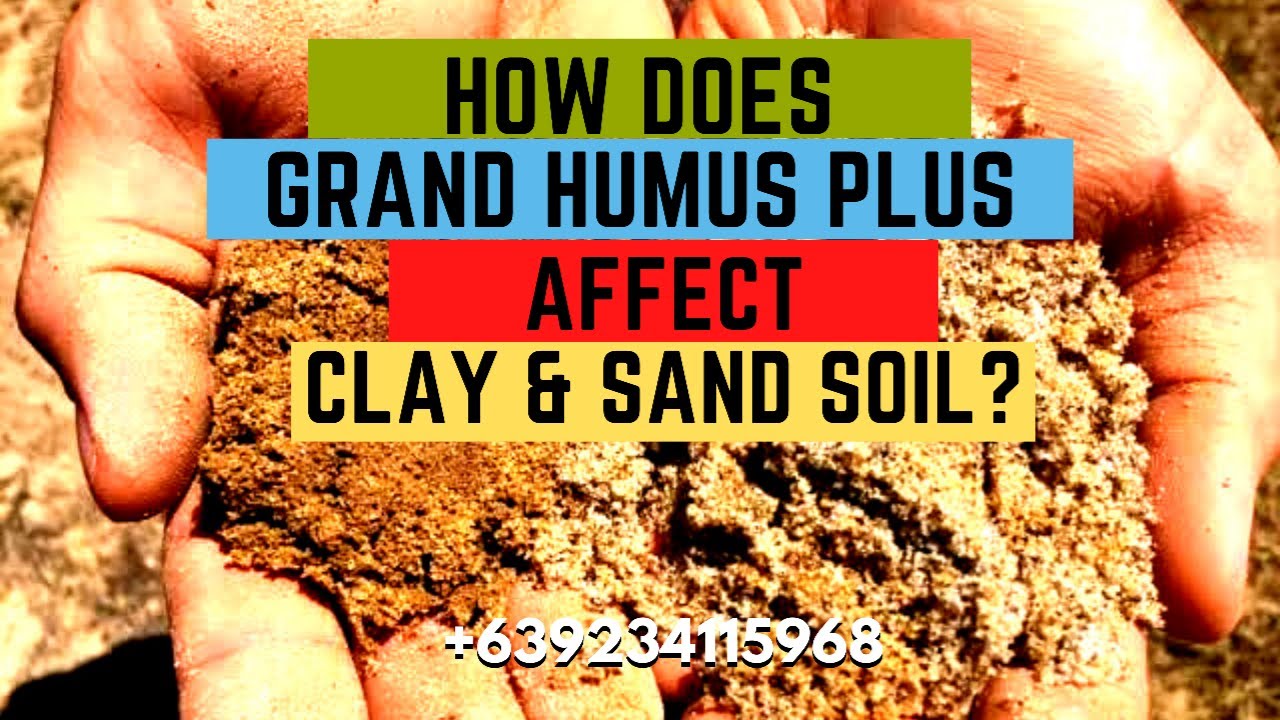 HUMIC ACID TRIAL ON CLAY AND SANDY SOIL | GRAND HUMUS PLUS ...