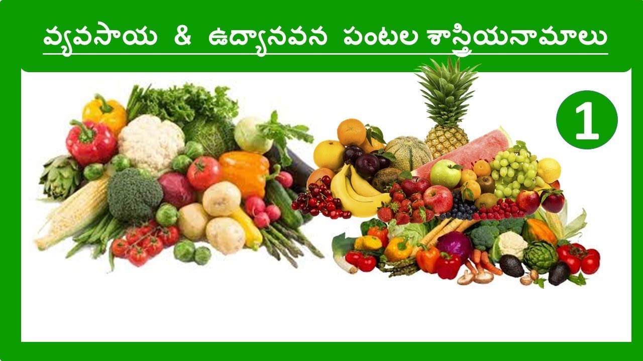 Agriculture Horticulture Crops Scientific Names Part 1 agriculture-horticulture-crops-scientific-names-part-1