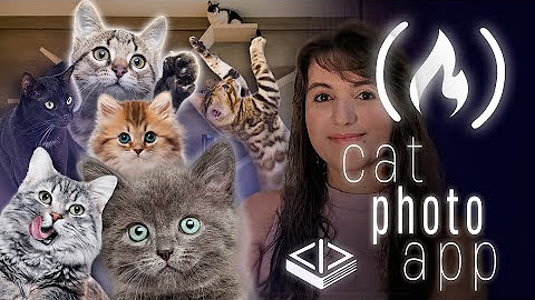 freeCodeCamp - YouTube