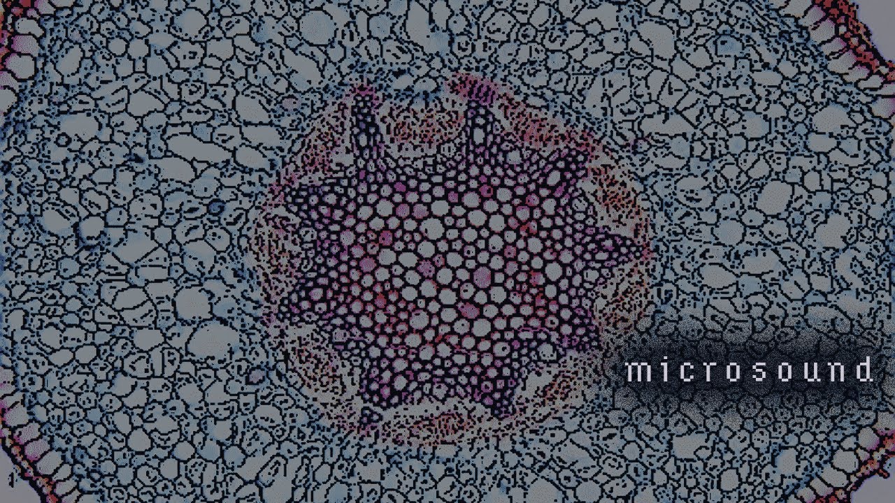 Microsound [Full Album] - YouTube