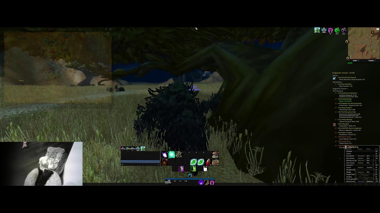 Warcraft Hardcore WALK - WALKINBEEF- OnlyFangs Practice - YouTube
