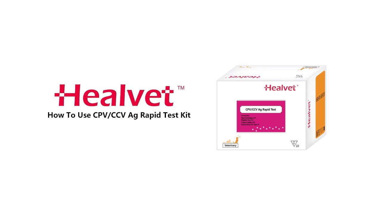 How to use Healvet CPV/CCV Ag Rapid Test Kit? - YouTube