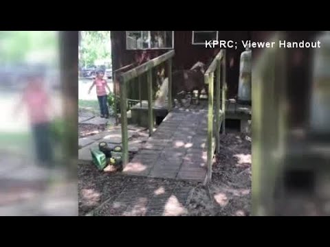 Girl whose beloved pony was killed finds new companion in horse's sister