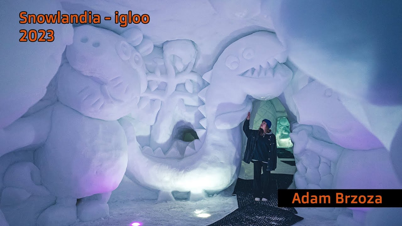 Snowlandia 2023 - Igloo - YouTube