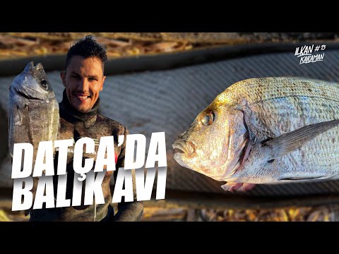 Datça 'da Enfes Dalış Günü | Sargoz Avı