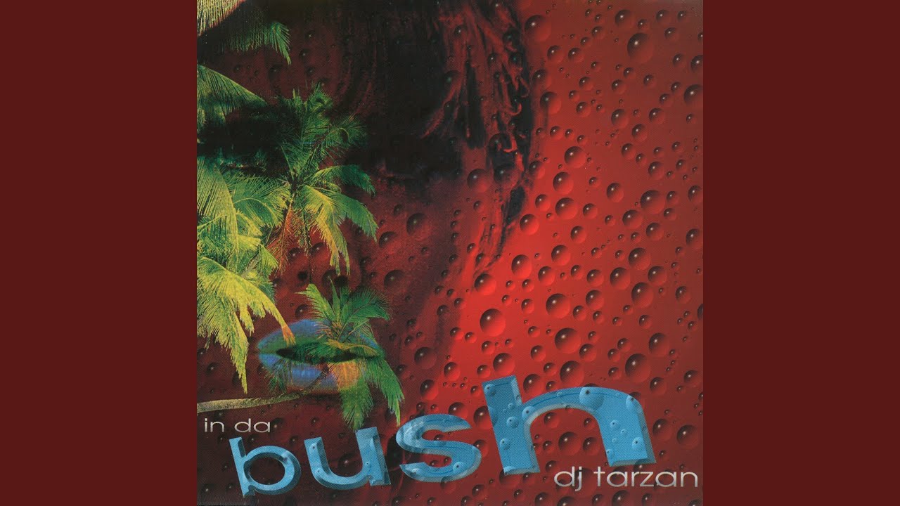 In da Bush (Bbc Mix) - YouTube