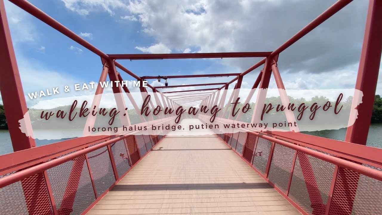 walking from hougang to punggol ft. lor halus bridge; feast at putien ...