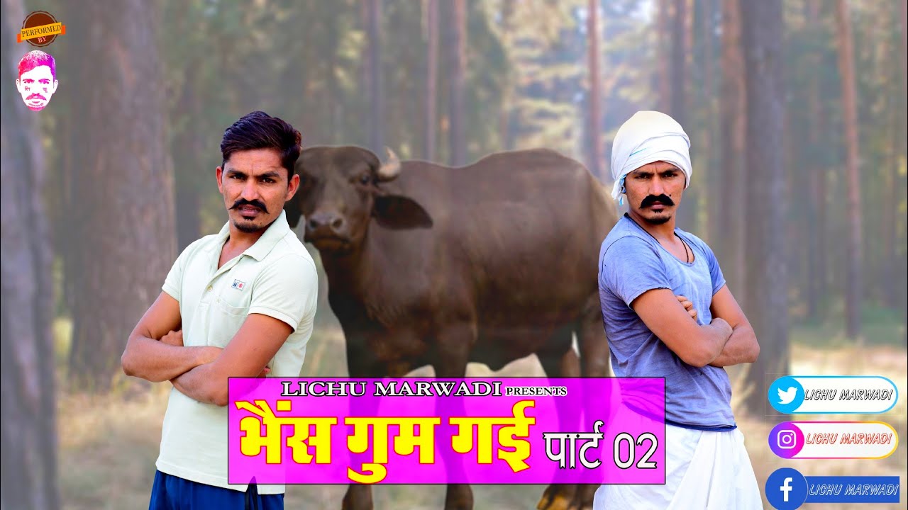 भैंस गुम गई चौधरी की पार्ट 02 New Episode 27 - YouTube