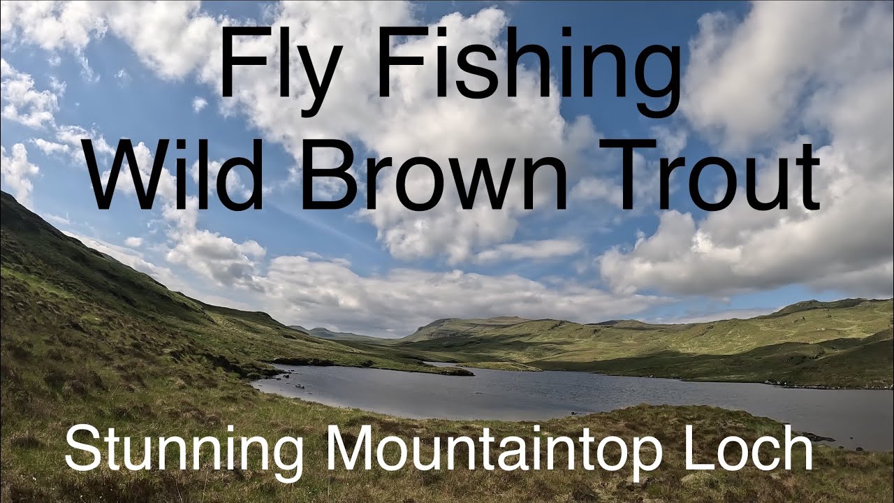 Great Day Fly Fishing a Remote Highland Loch - Wild Scottish Brown ...