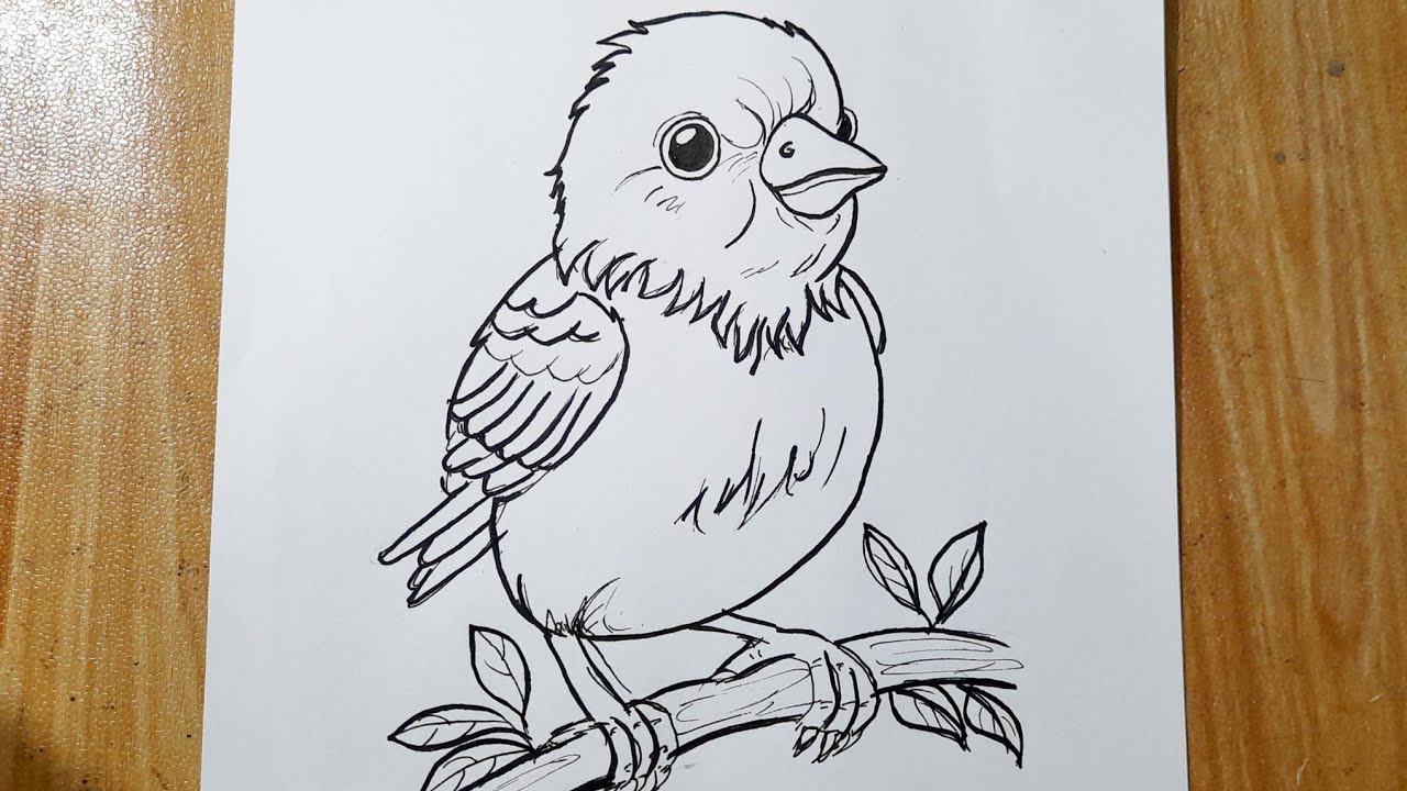 How to draw a bird sitting on a branch easy step by step - YouTube
