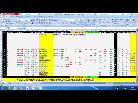 06,07,2018 BURSA AT YARIŞLARI DETAYLI PUANLI PERFORMANS ŞABLONLARI