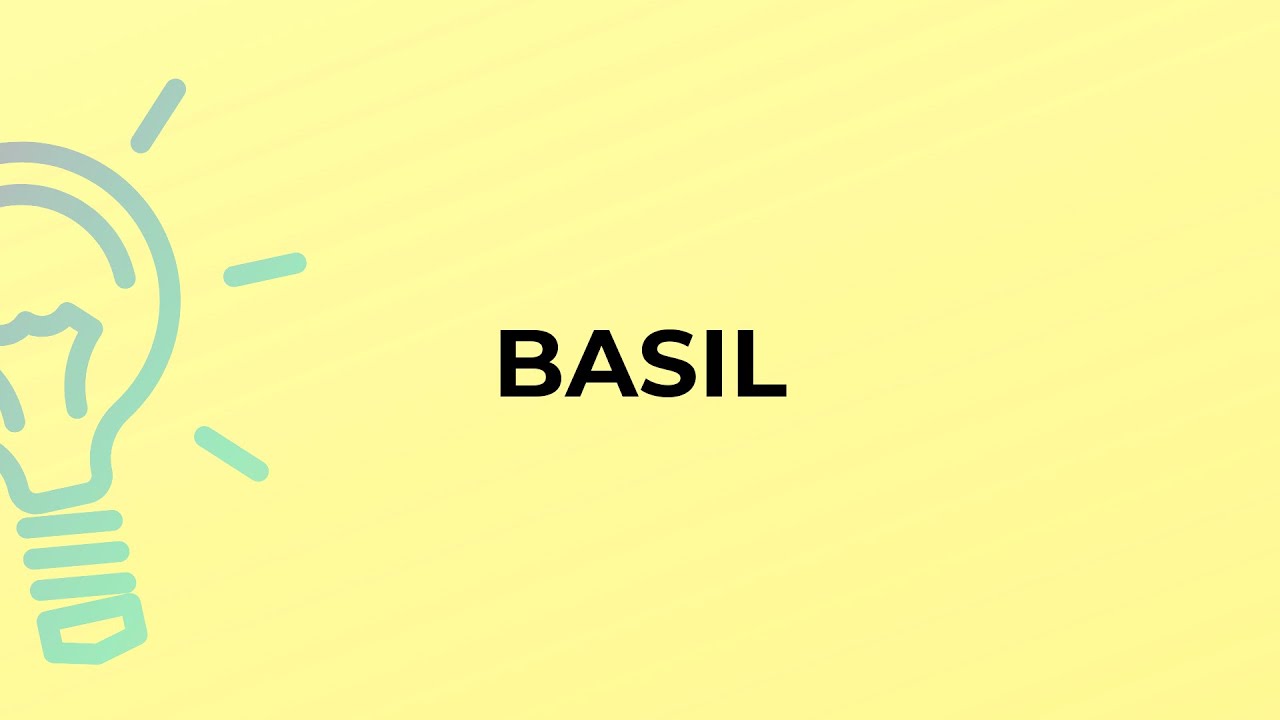 What is the meaning of the word BASIL? - YouTube