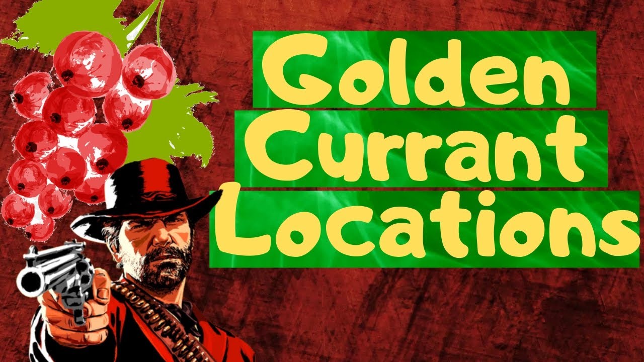 Red Dead Redemption 2 Golden Currant Locations - YouTube