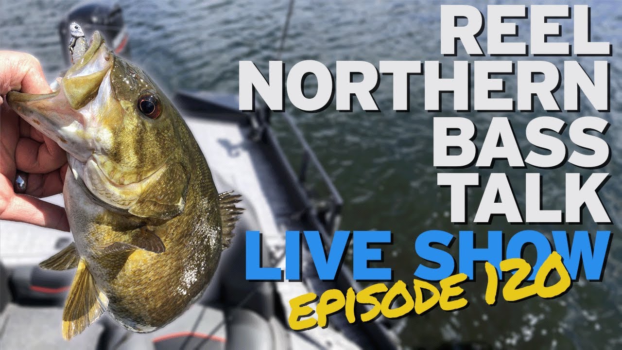 Reel Northern Bass Talk Livestream - YouTube