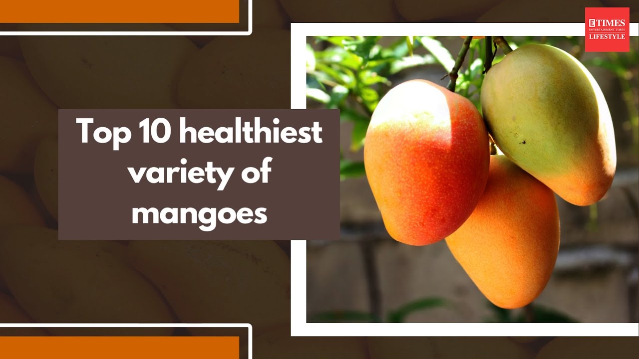 Juicy Delights: Exploring the Top 10 Healthiest Varieties of Mangoes ...