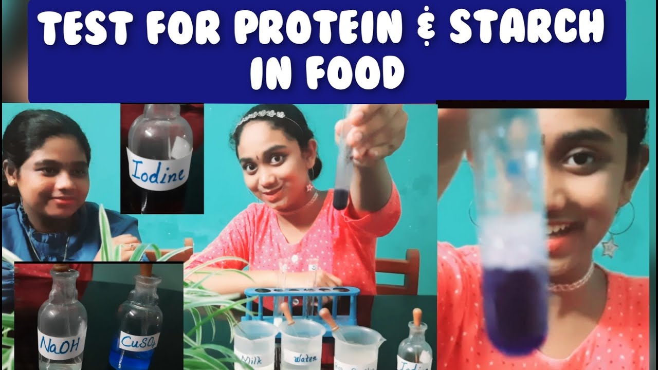 Science Experiments || Test for Protein & Starch in food - YouTube