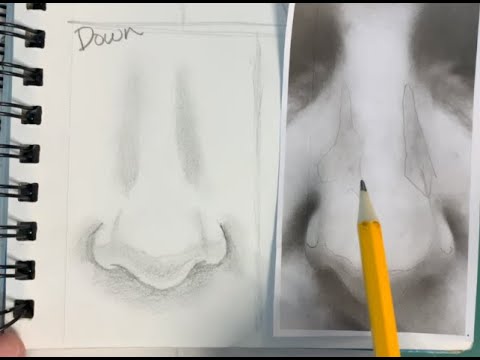 Nose Pointing Down Drawing - YouTube