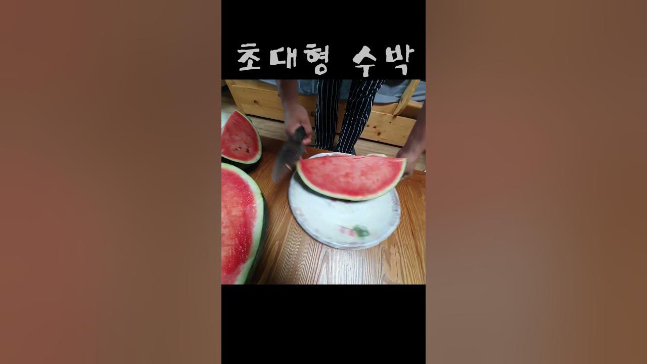 초대형 수박 🍉 구독 ️ 좋아요 Youtube