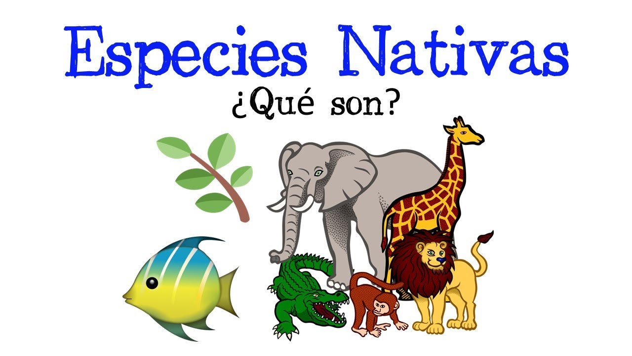 🦁 ¿Qué son las Especies Nativas? 🌿 [Fácil y Rápido] | BIOLOGÍA | - YouTube