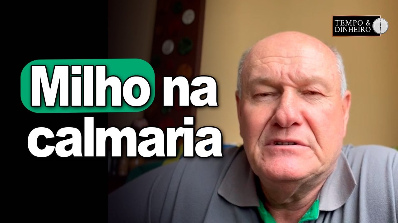 Milho na calmaria, informa Vlamir Brandalizze - YouTube