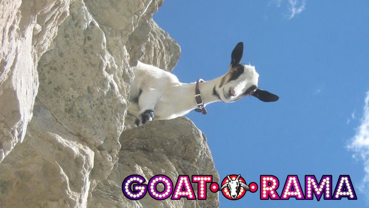 Goat-o-Rama Fiddle Violin Live Stream | March 7, 2021 - YouTube