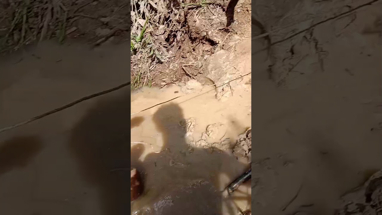 proses pengambilan labi2.didalam lubang - YouTube