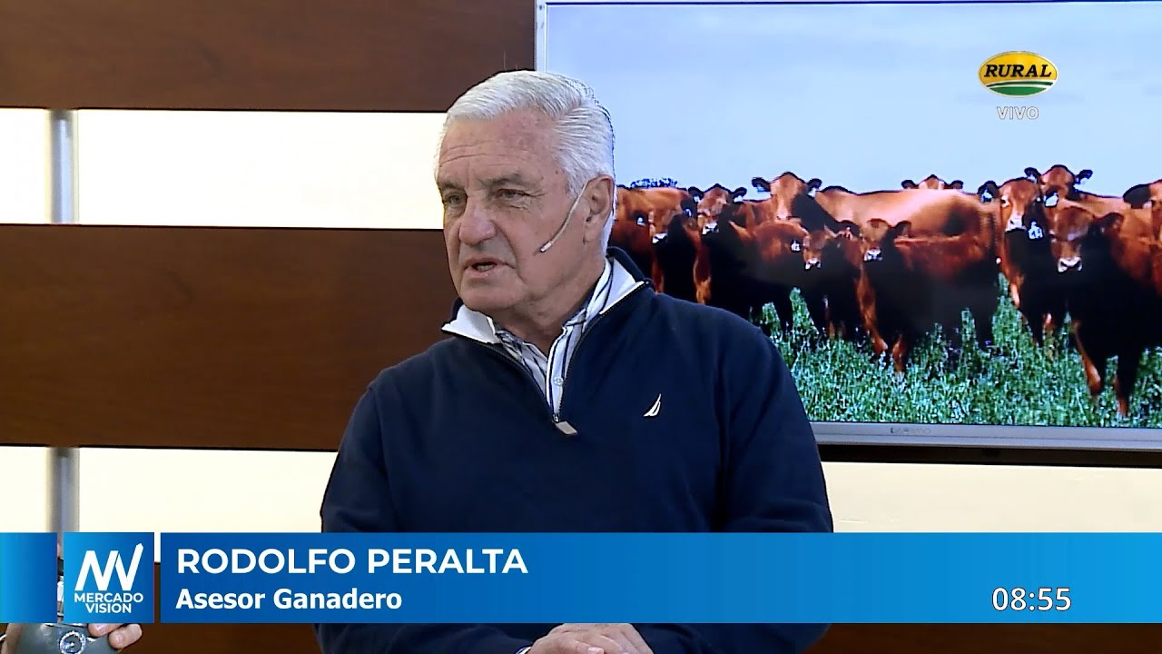 Rodolfo Peralta - Asesor ganadero - YouTube
