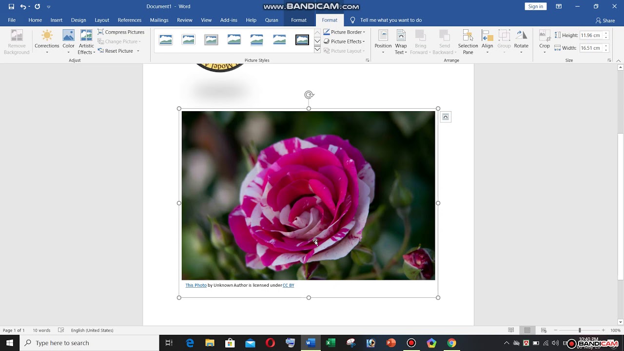Insert online picture and crop picture - YouTube