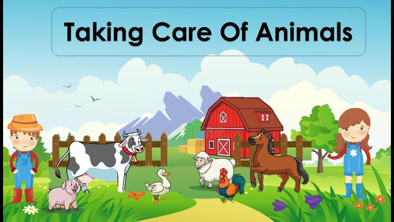 Caring For Animals Poster Fireworks & Animal Care Cambrian Training
