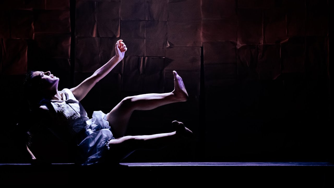 Feathers! - Trailer - Shaden Dance Company - YouTube