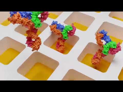 MARA NANOTECH_Nanowell Array Cardiac Homecare Test - YouTube