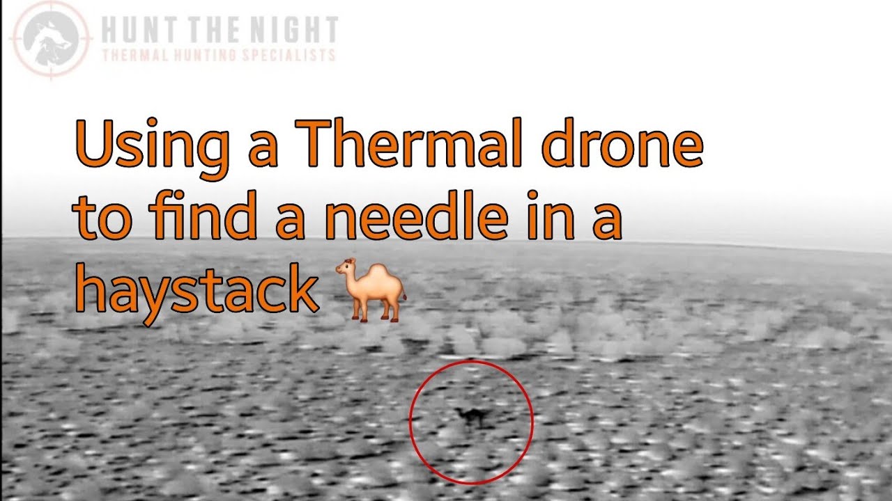 Using thermal to find a needle in a haystack 🐪 - YouTube