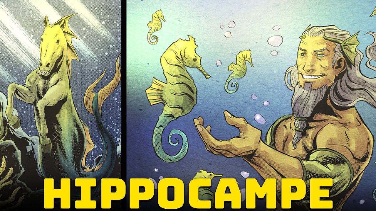 Hippocampe - Les Incroyables Hippocampes de la Mythologie Grecque - YouTube
