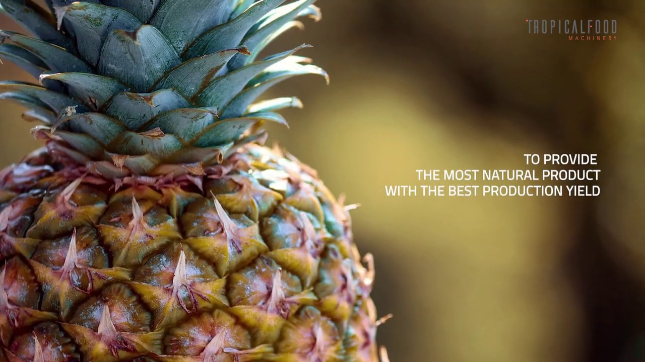 TFM Pineapple Processing Machines - YouTube