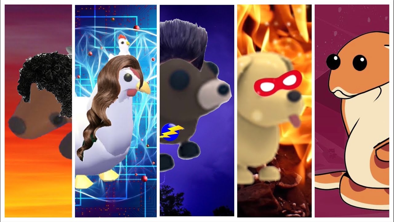 Prepare for King Cobra! (A Roblox Adopt Me Update Alert and Story ...