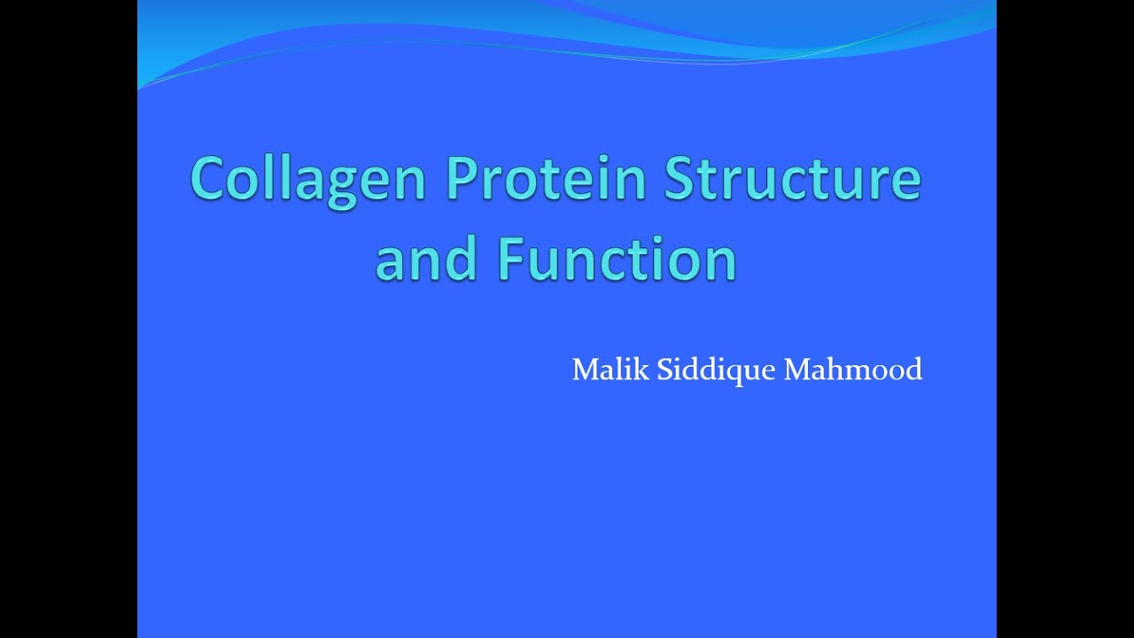 Collagen Protein Structure and Function - YouTube