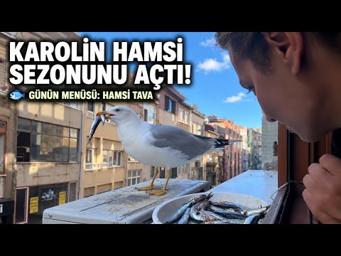 Çağla Akalın kanalı canlı yayında