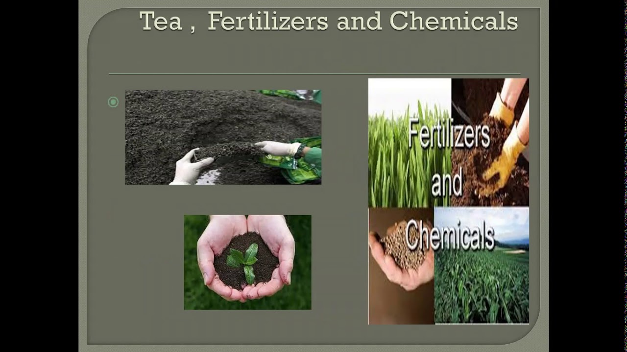 major imports and exports of Pakistan - YouTube