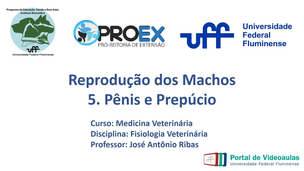 Reprodução Machos - 5. Pênis e prepúcio - YouTube