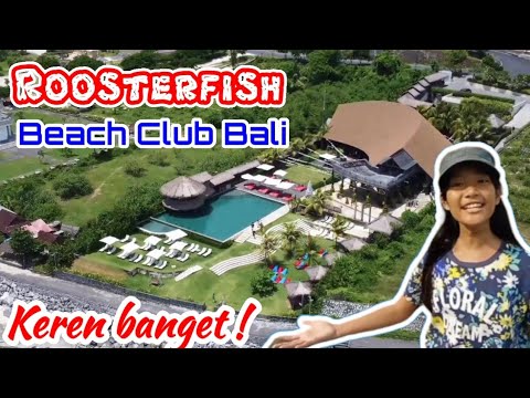 Roosterfish Beach Club Bali | Gratis Berenang di Roosterfish | Beach ...