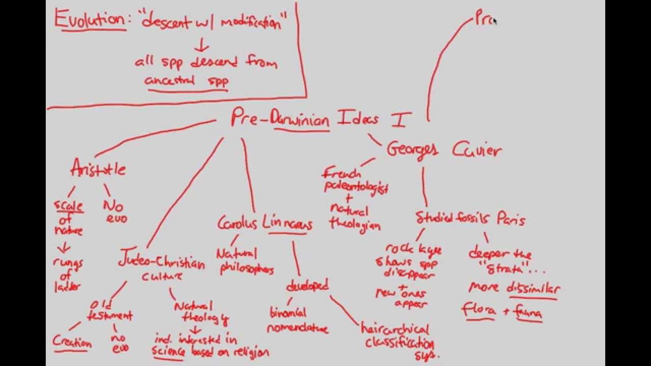 Darwinian Evolution - Pre-Darwin I | BIALIGY.com - YouTube