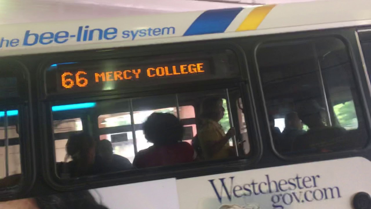 Bee Line Bus Orion V Route 66 To Mercy College #608 New Rochelle ...