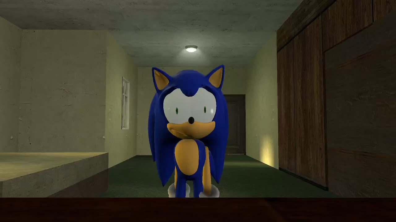 Sonic Character react to your face [GMOD] - YouTube