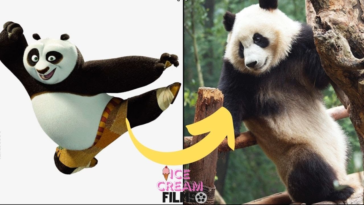 Kung Fu Panda IN REAL LIFE 💥 Characters - YouTube