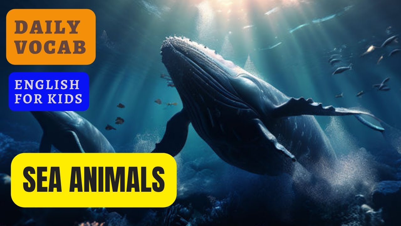 SEA ANIMALS |ANIMALS | DAILY VOCAB |LEARNING ENGLISH FOR KIDS ...