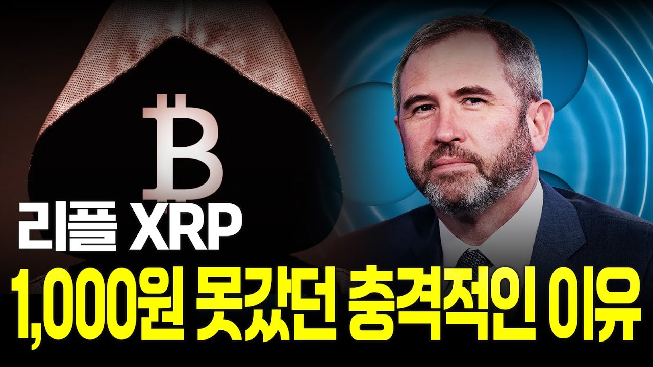 리플 전망 리플 Xrp 천원 못 갔던 충격적인 이유 리플 Ceo 리플소송 리플합의 리플코인 Xrp 코인밈