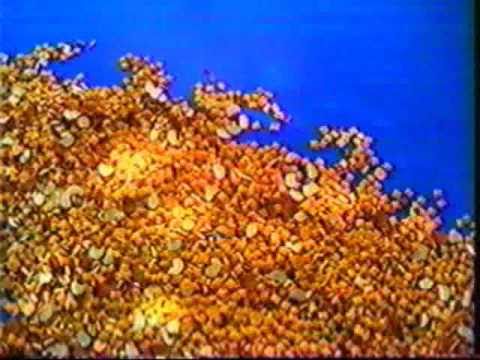 6-30-1998 NBC Daytime ads (Part 1) - YouTube