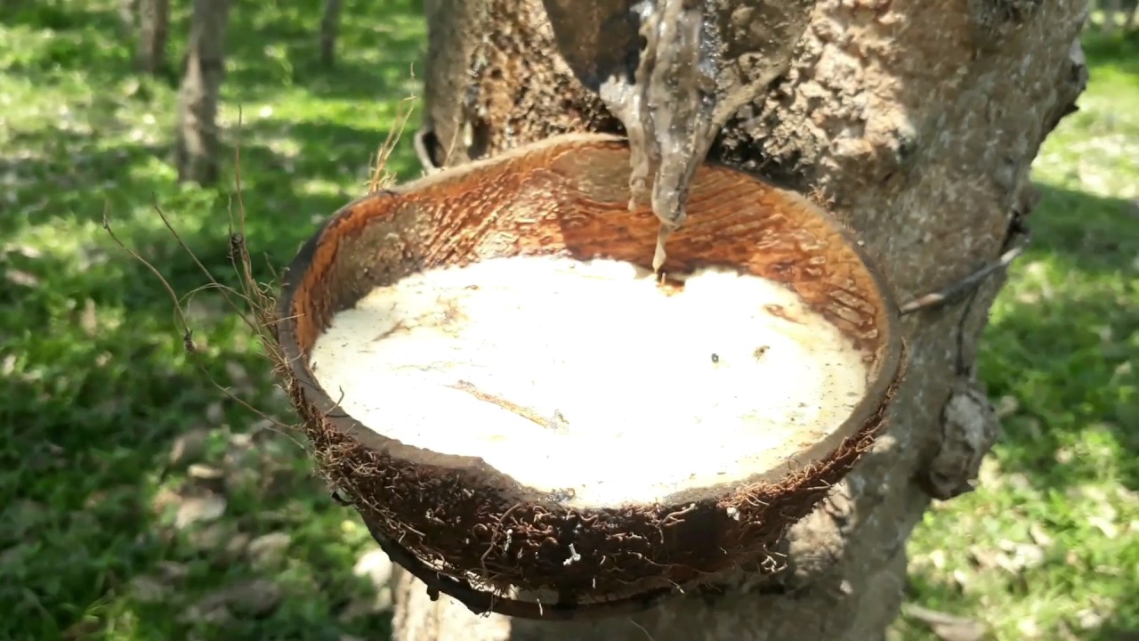 Rubber Processing - YouTube