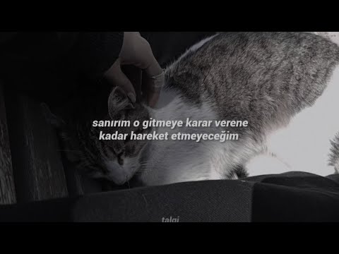 cavetown - juno (türkçe çeviri) - YouTube