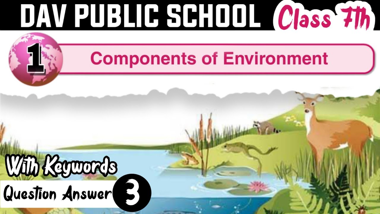 Chapter 1 | Components of Environment | Class 7 DAV Social Sci ...